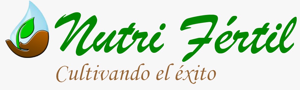 GeoSoft | Sistema de facturación, inventarios, contabilidad | El Salvador